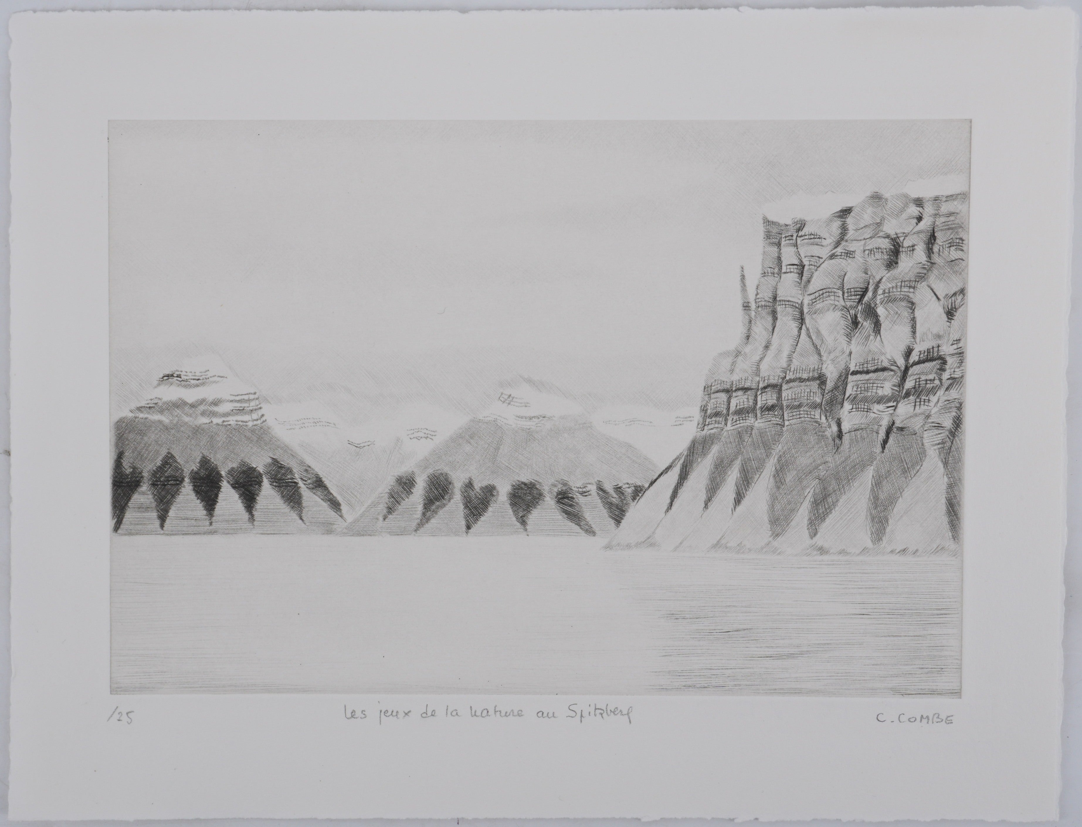 Camille COMBE : Les jeux de la nature au Spitzberg (mer du Groenland ...