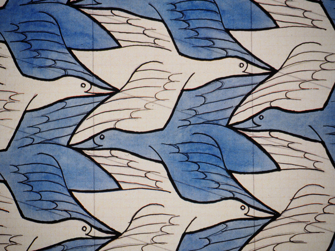 Escher Tessellations Birds
