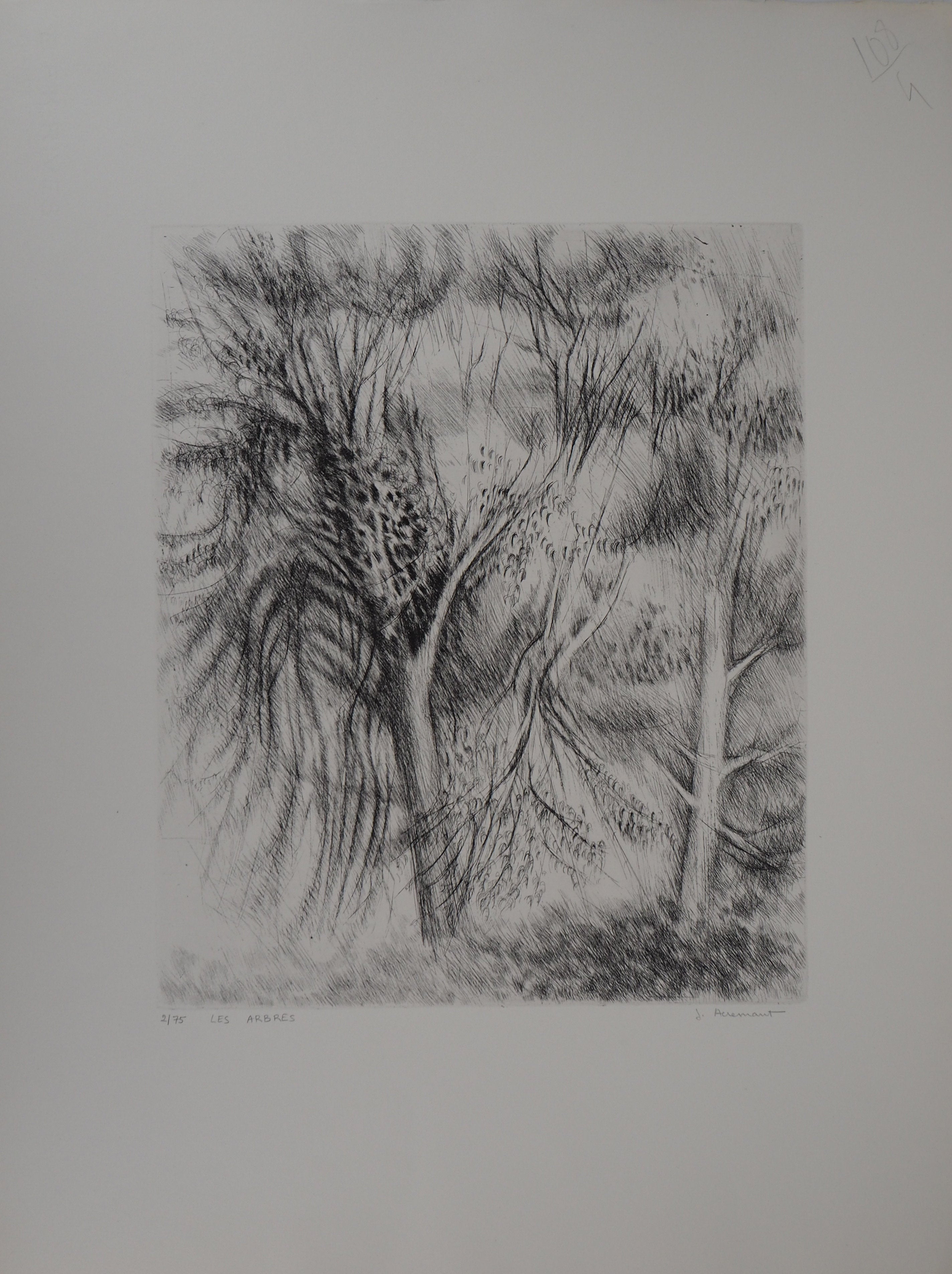 Janine ACREMANT: The Trees, Original Engraving – art.paris